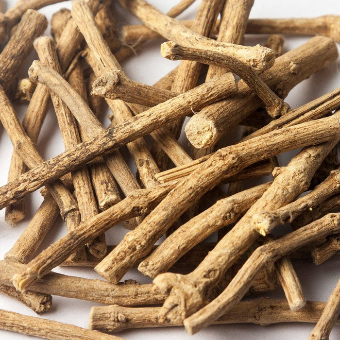 African Dream Root (Silene capensis)– Herbaldimensions.com